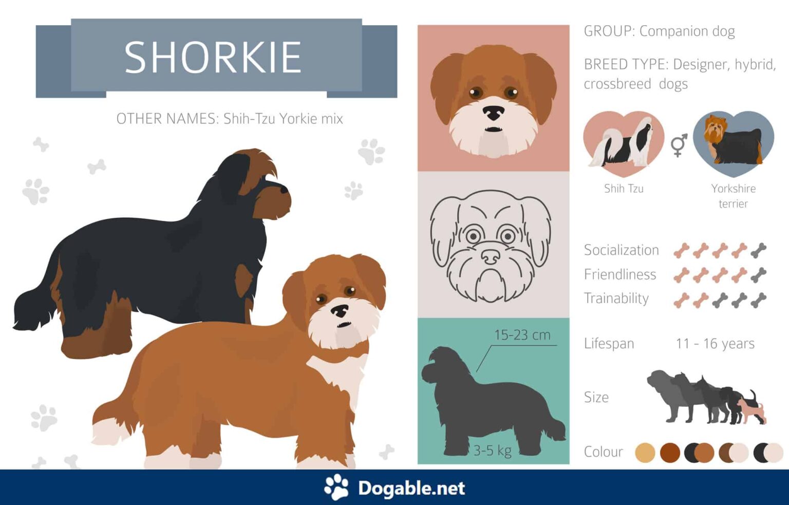 Learn About the Yorkie Shih Tzu Mix aka the Shorkie-Zu - Dogable